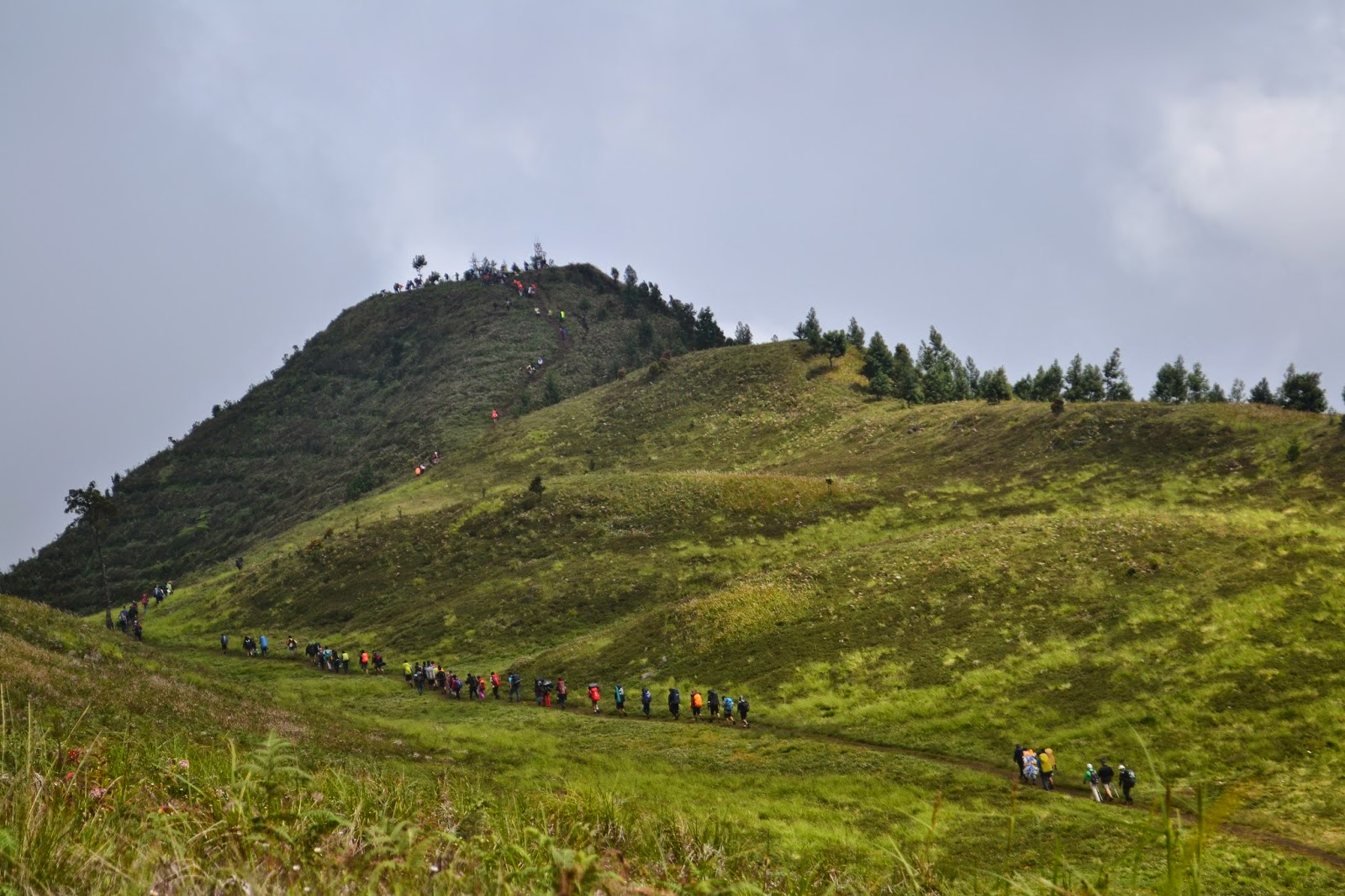 Mendaki Gunung Prau Wonosobo Jawa Tengah - Adat Indonesia