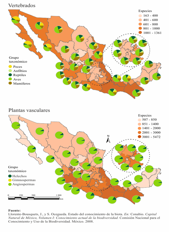 Biodiversidad de México : marzo 2021