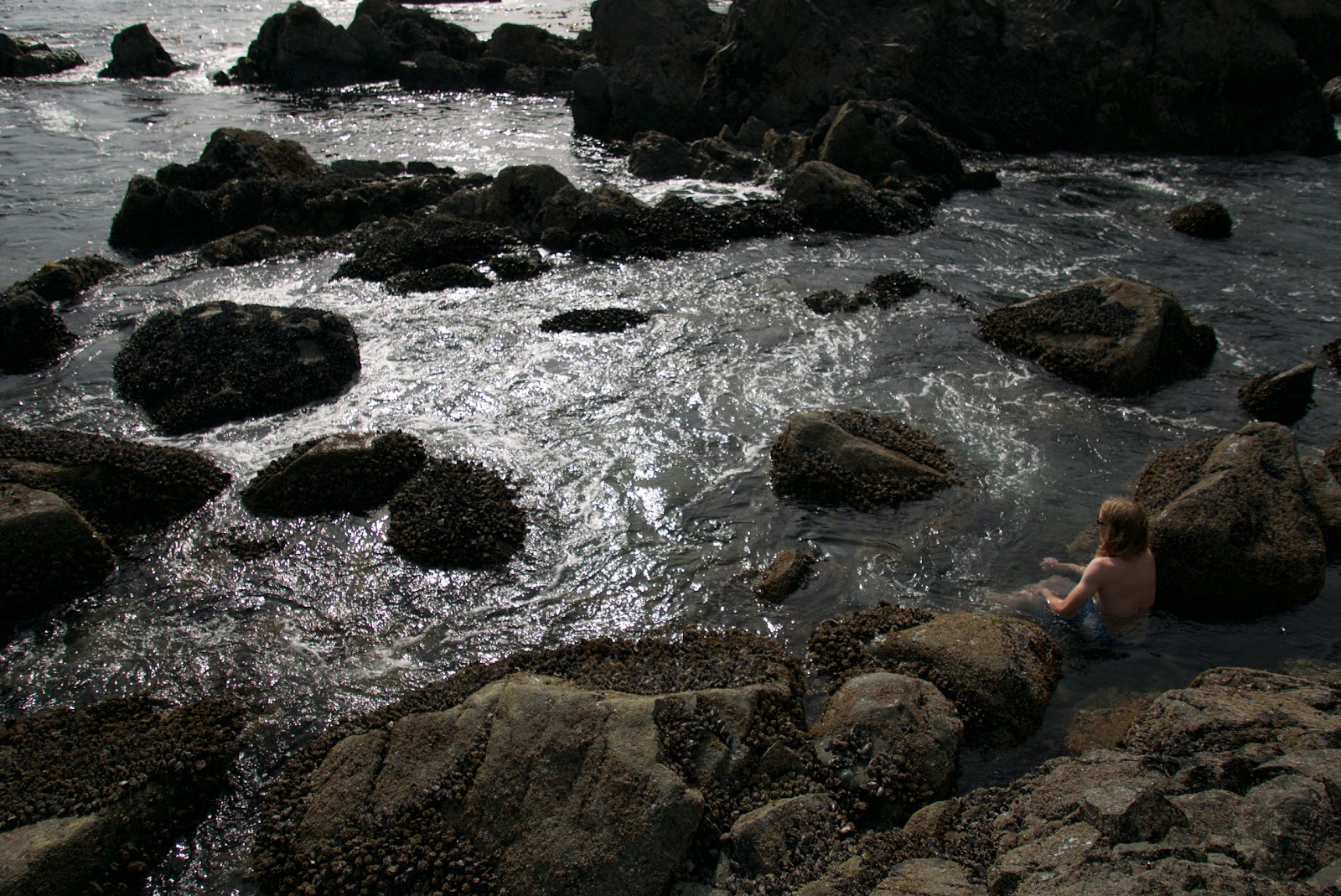 Free Range Family: Hot Springs Cove