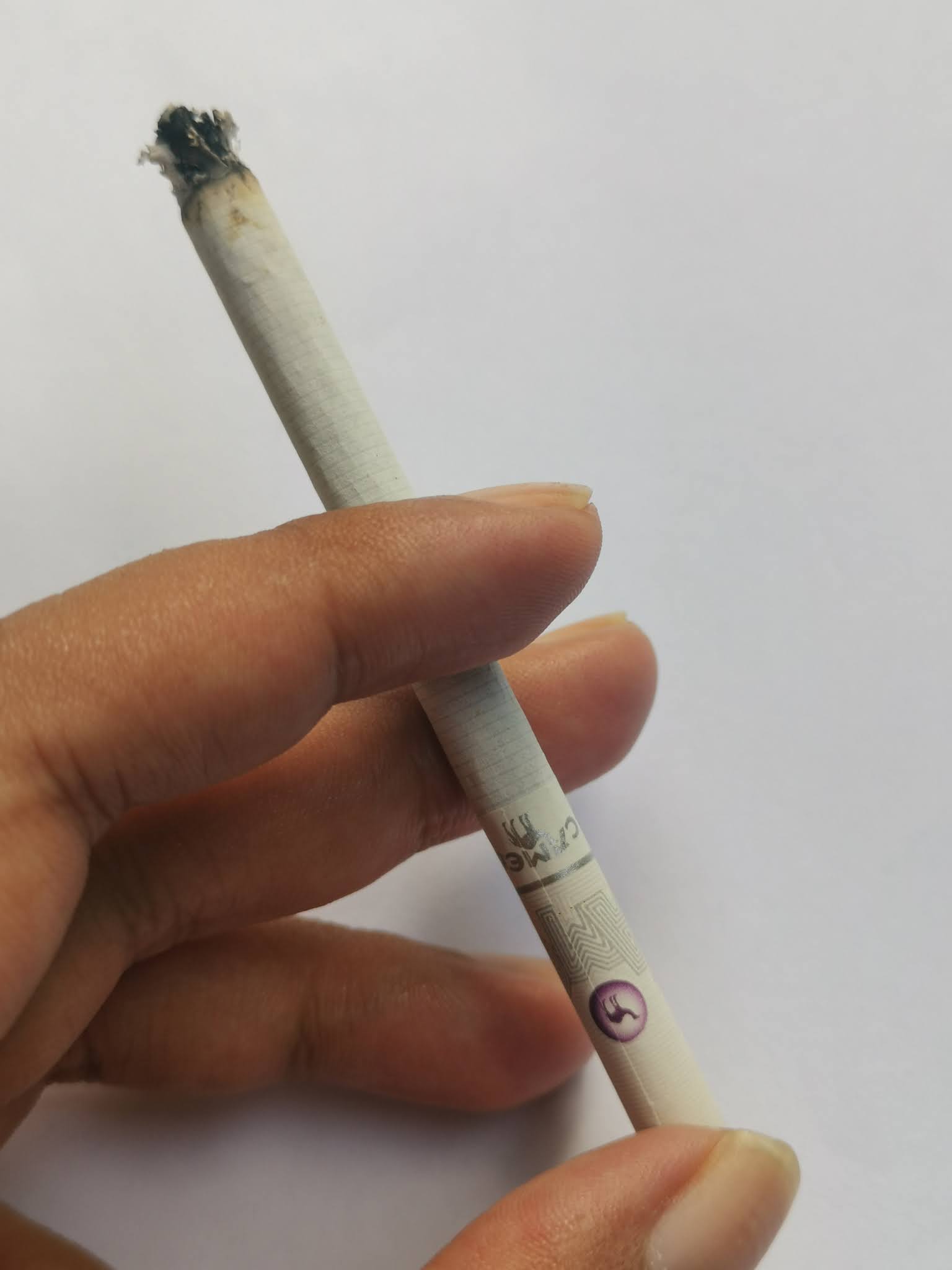 Camel Mild Option Purple Kretek 12, SKM LTLN Value For Money Pertama ...