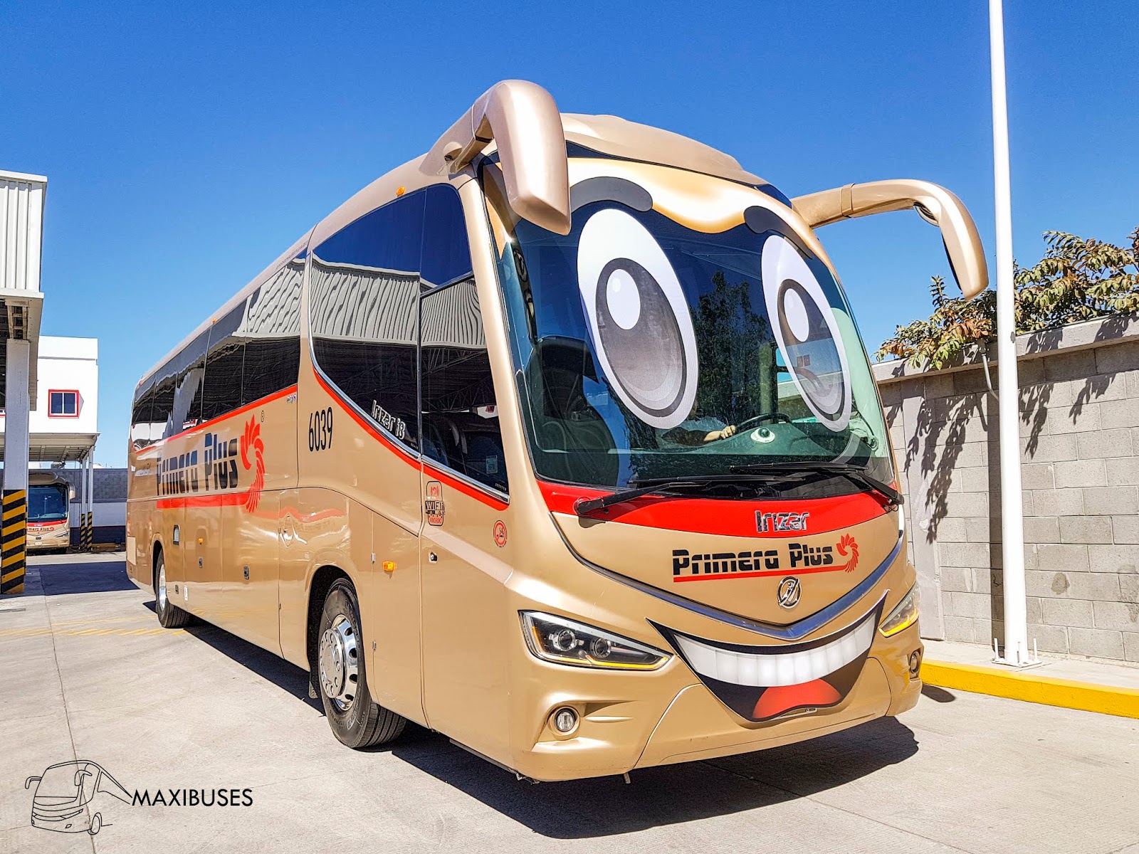 MAXIBUSES: PRIMERA PLUS