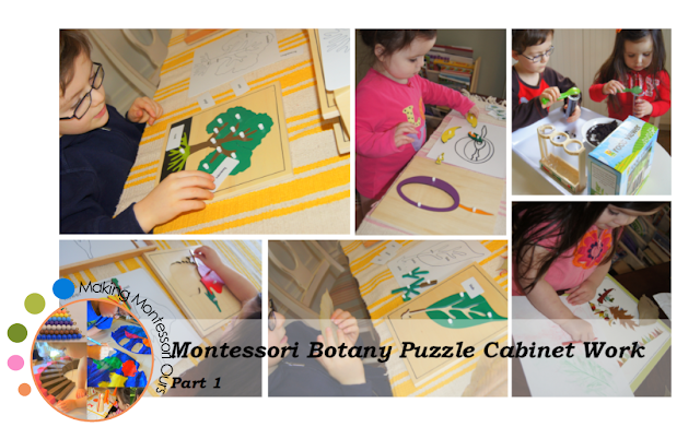 Botany 1 - Montessori Botany Puzzle Cabinet Work - "Making Montessori Ours"