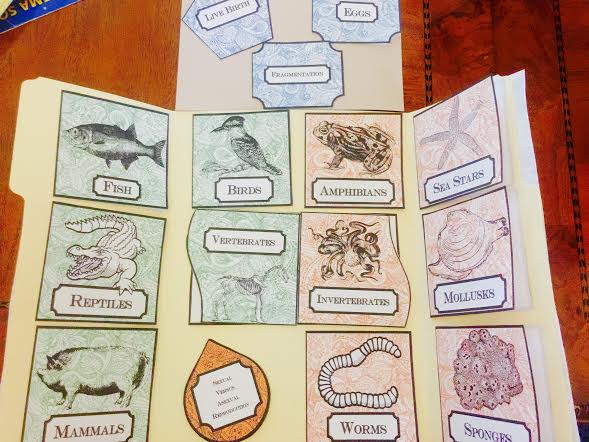 The Hermit Crabs Homeschool: Vertebrates and Invertebrates Lap Book