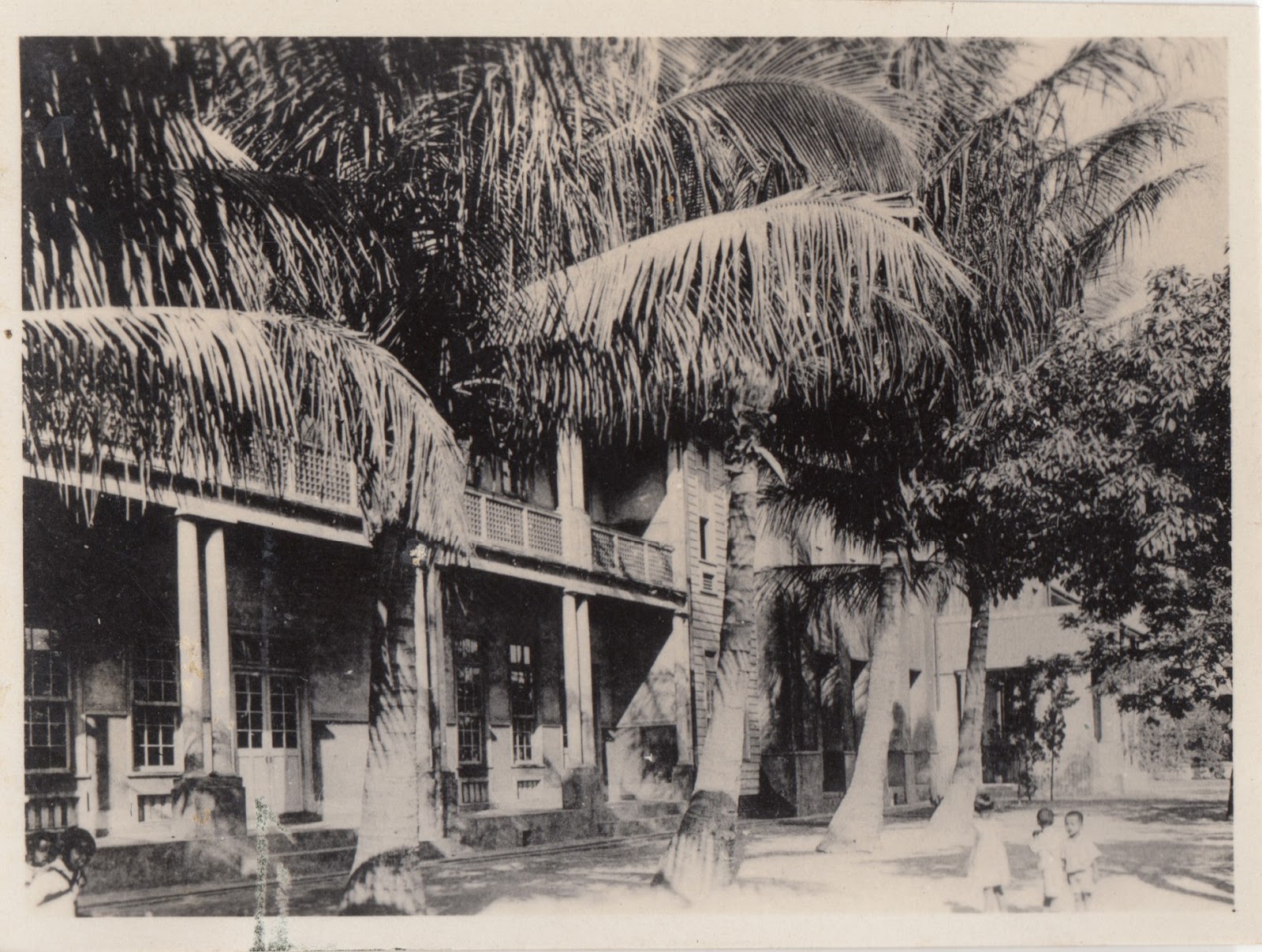 my North Borneo stamps: Some recent Labuan acquisitions