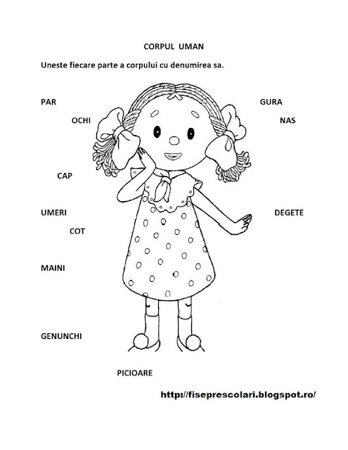 Corpul Uman/ Obiecte de ingrijire personala - Fise de lucru pentru ...