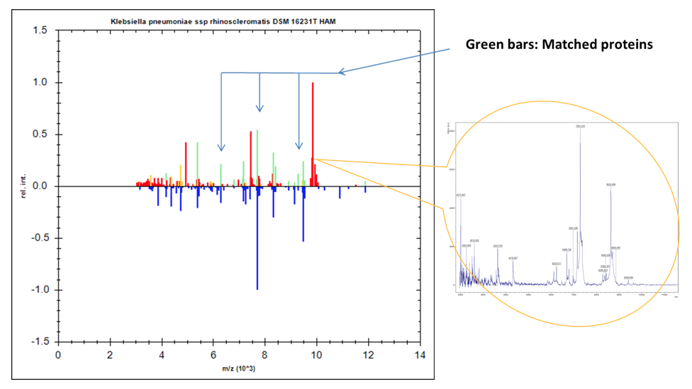 Lab Series# 10: MALDI TOF in Microbial diagnostics