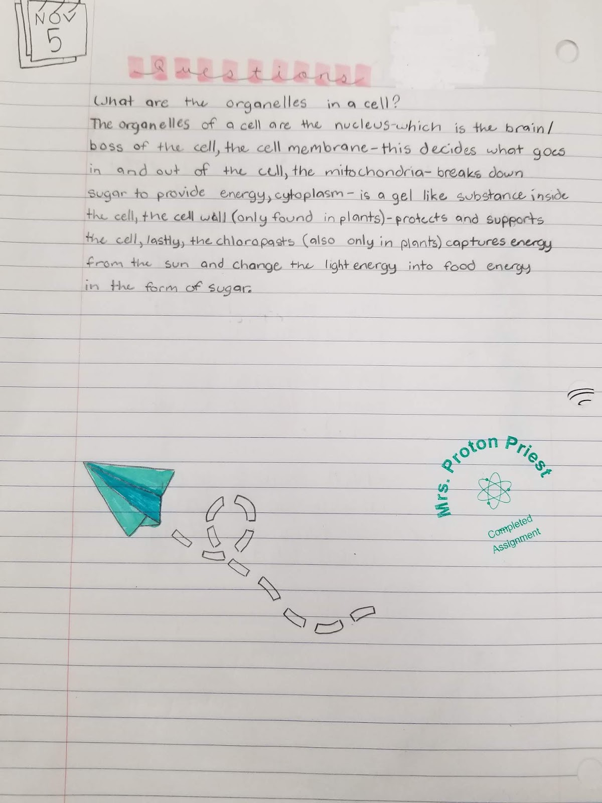Student Output Samples from the Middle School Science Classroom | Polka ...