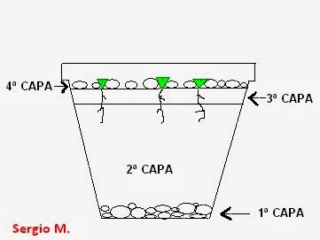 Mis Cactus, Suculentas y otras plantas: 3. Sustrato para los semilleros ...