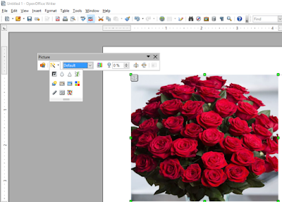 Class 10 It | Chapter - Digital Documentation | Topic - Inserting Image