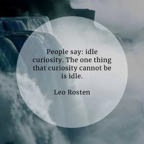 60 Curiosity quotes that'll help you achieve great things