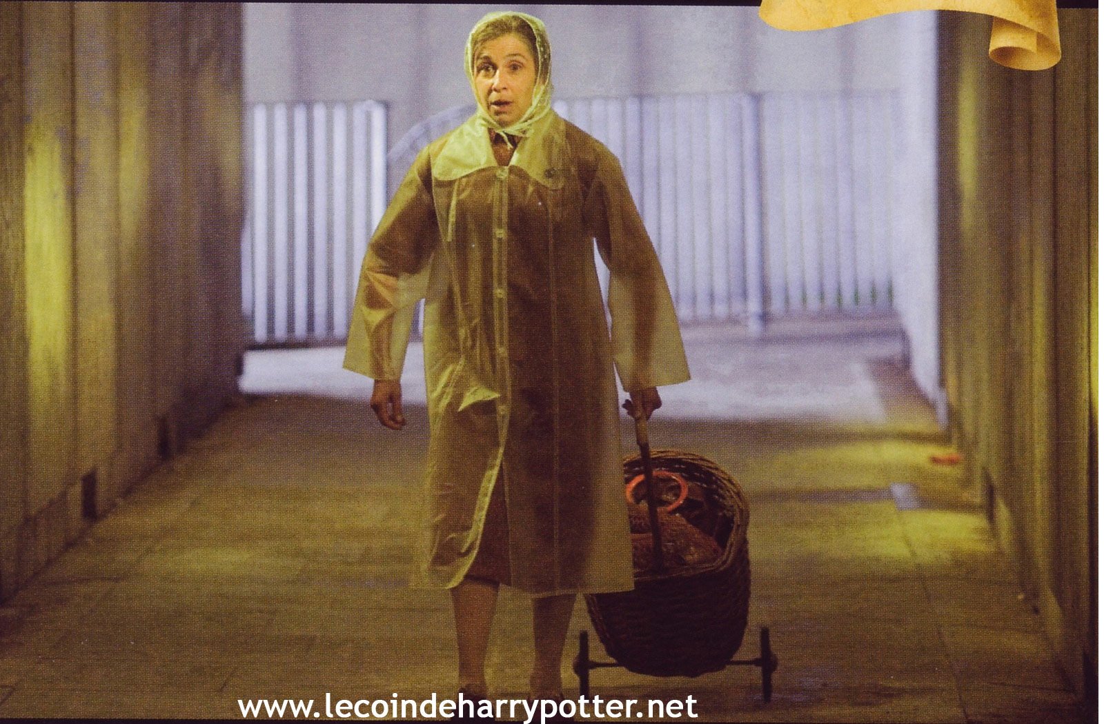 equipe hogwarts: Arabella Doreen Figg