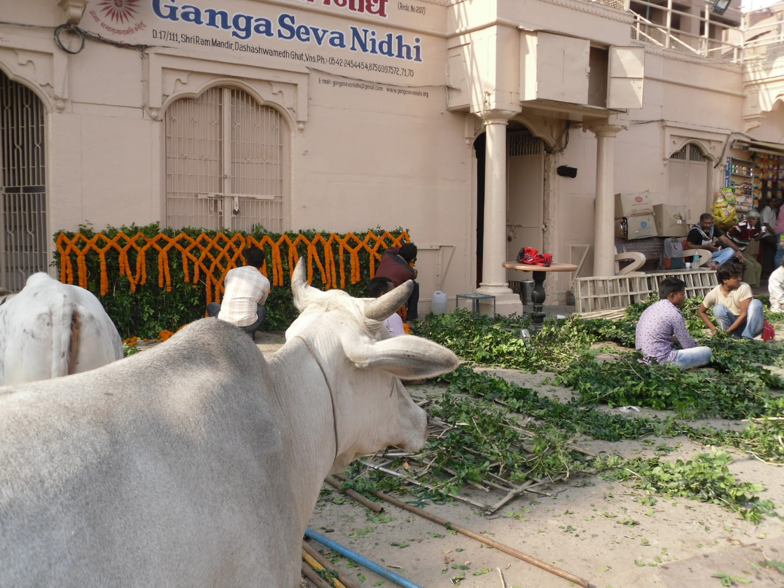 Travel: A journey of experience - Varanasi/Kashi/Benaras - Part 2