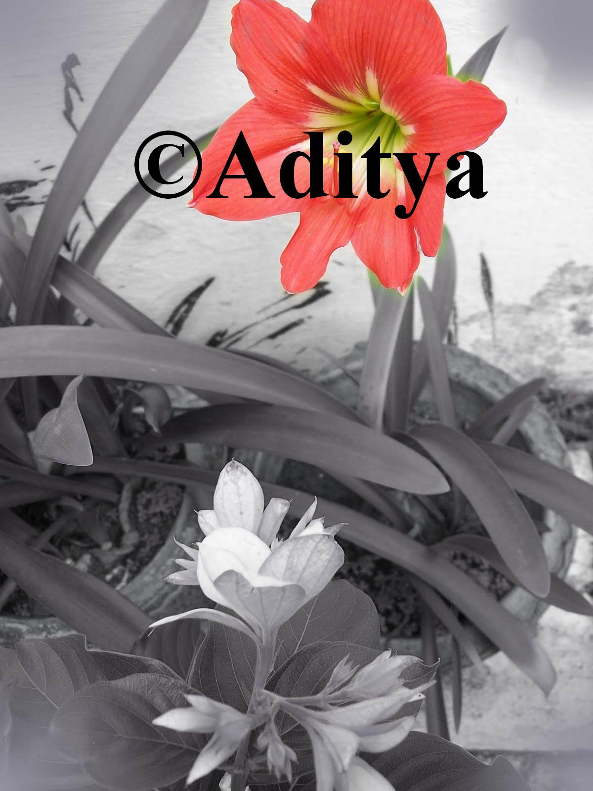 Aditya Photography