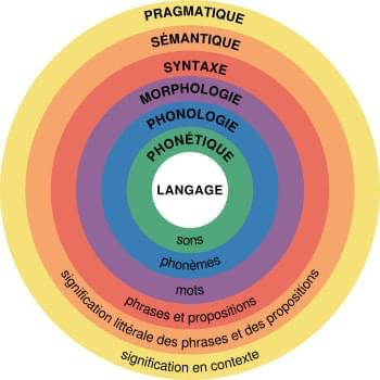 SCOPE OF LINGUISTICS