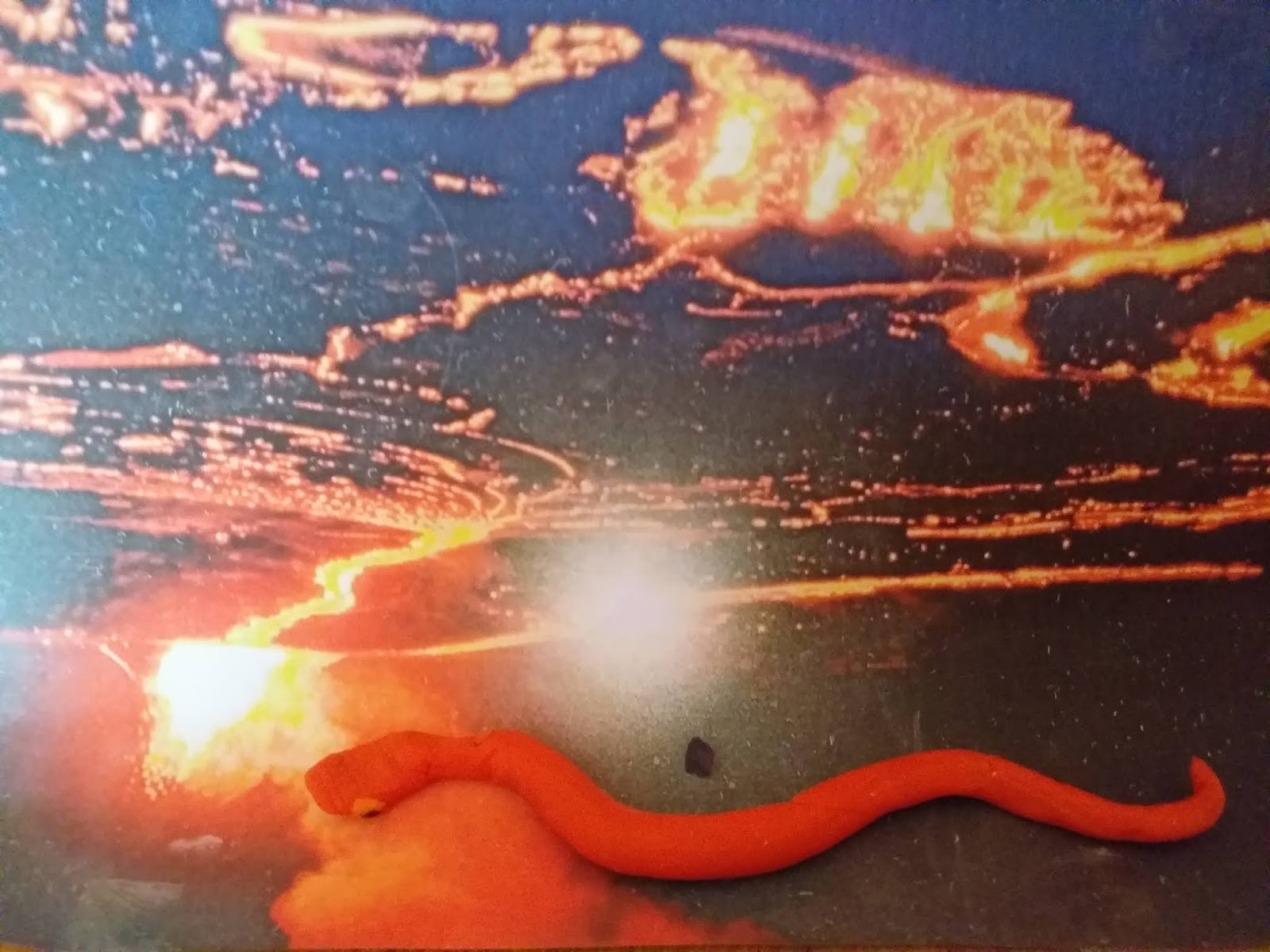 Una nueva etapa: Animales inventados