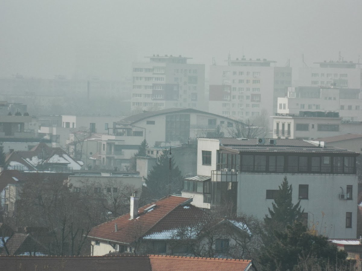 LA MULTI ANI, ROMANIA!: Poze in ceata