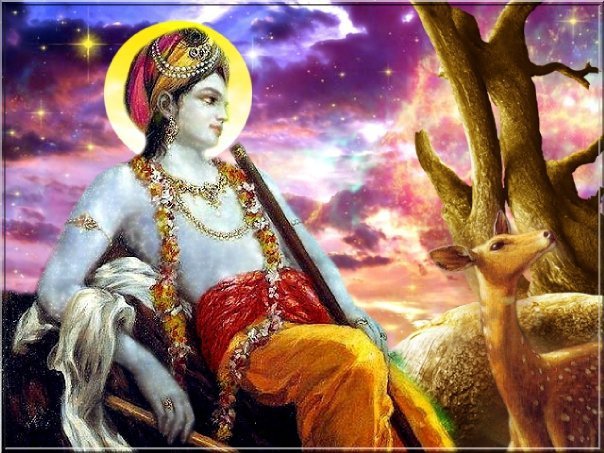 'Krishna will never forget His devotee' : Krishna
