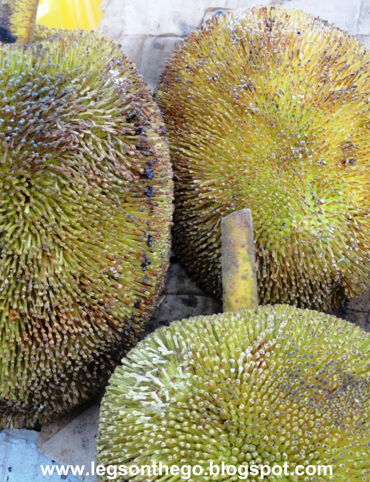 LEGS (Lens, Eyes, Gastros) on the go!: Marang - one of Davao's exotic fruit