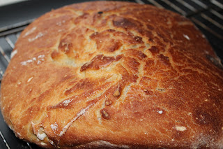 Ager bager: Grydebrød eller verdens bedste brød?