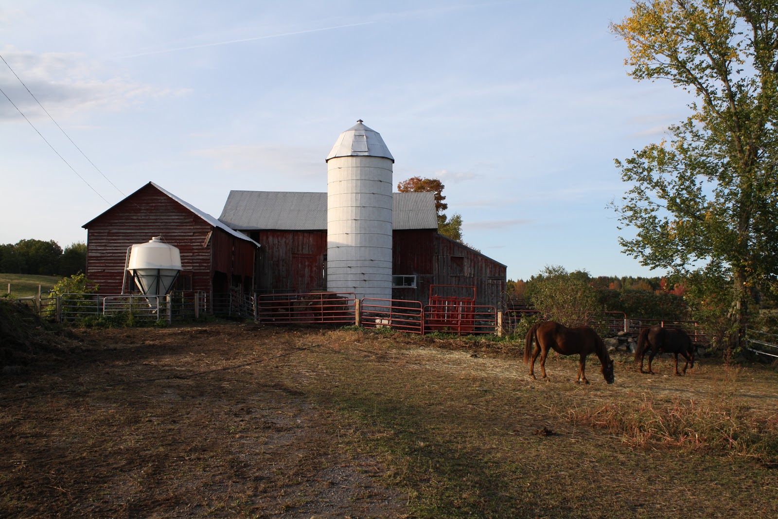 Eight Mile Creek Farm: Seasonal Farm Fresh Foods