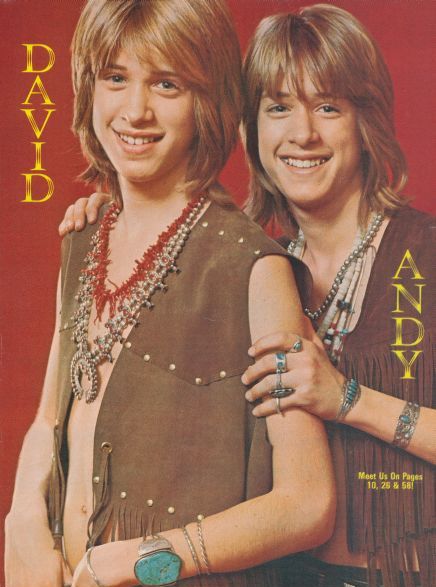 NYSocBoy's Beefcake and Bonding: Don't Cry Now: David and Andy Williams