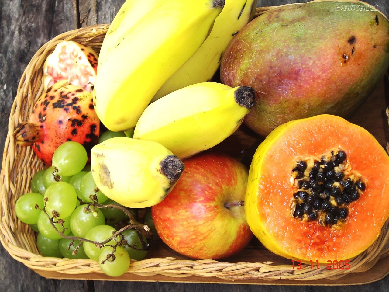 TEIA DA VIDA - CONHECER PARA PRESERVAR!: PLANTAS - FRUTO E SEMENTE