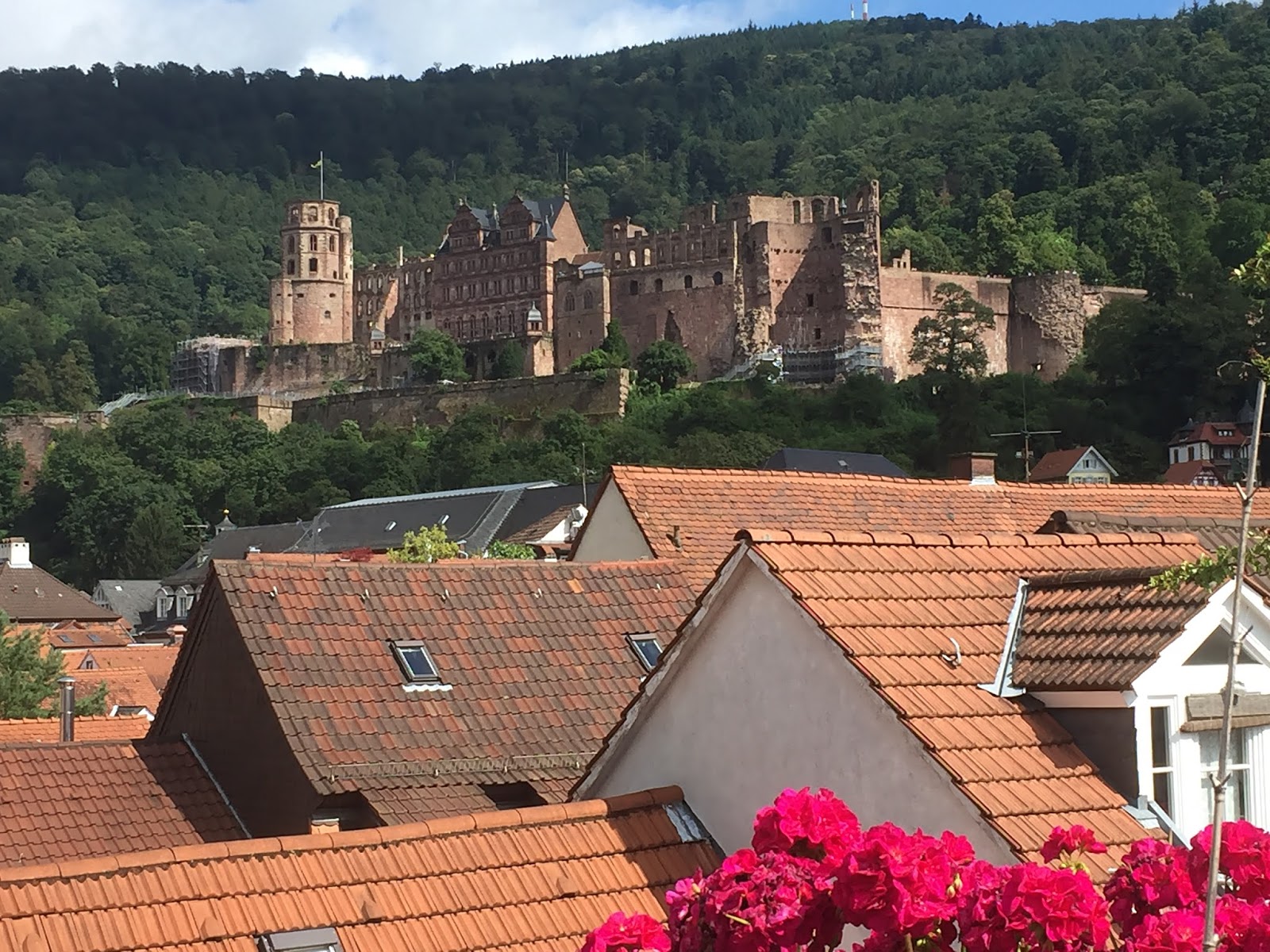 Heidelberg erleben: Exploring Heidelberg Castle