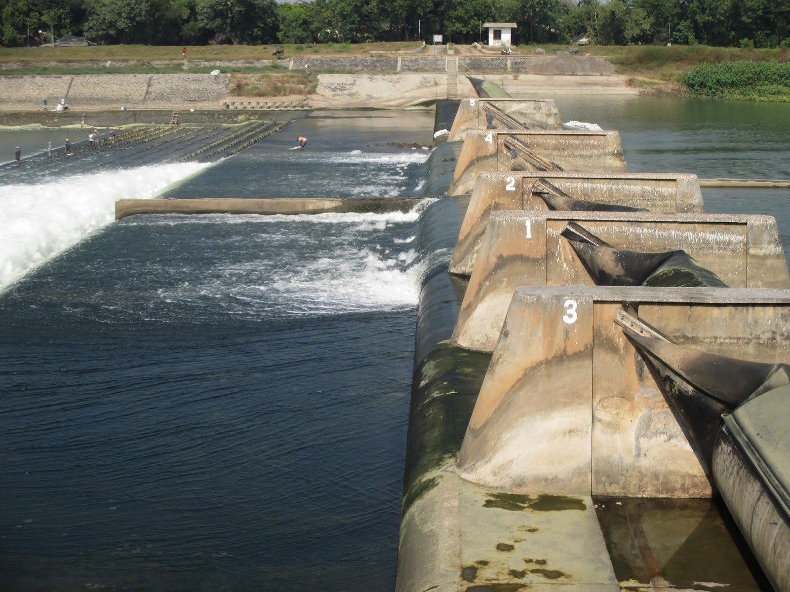 BENDUNG ( DAM ) KARET MENTURUS - blogque