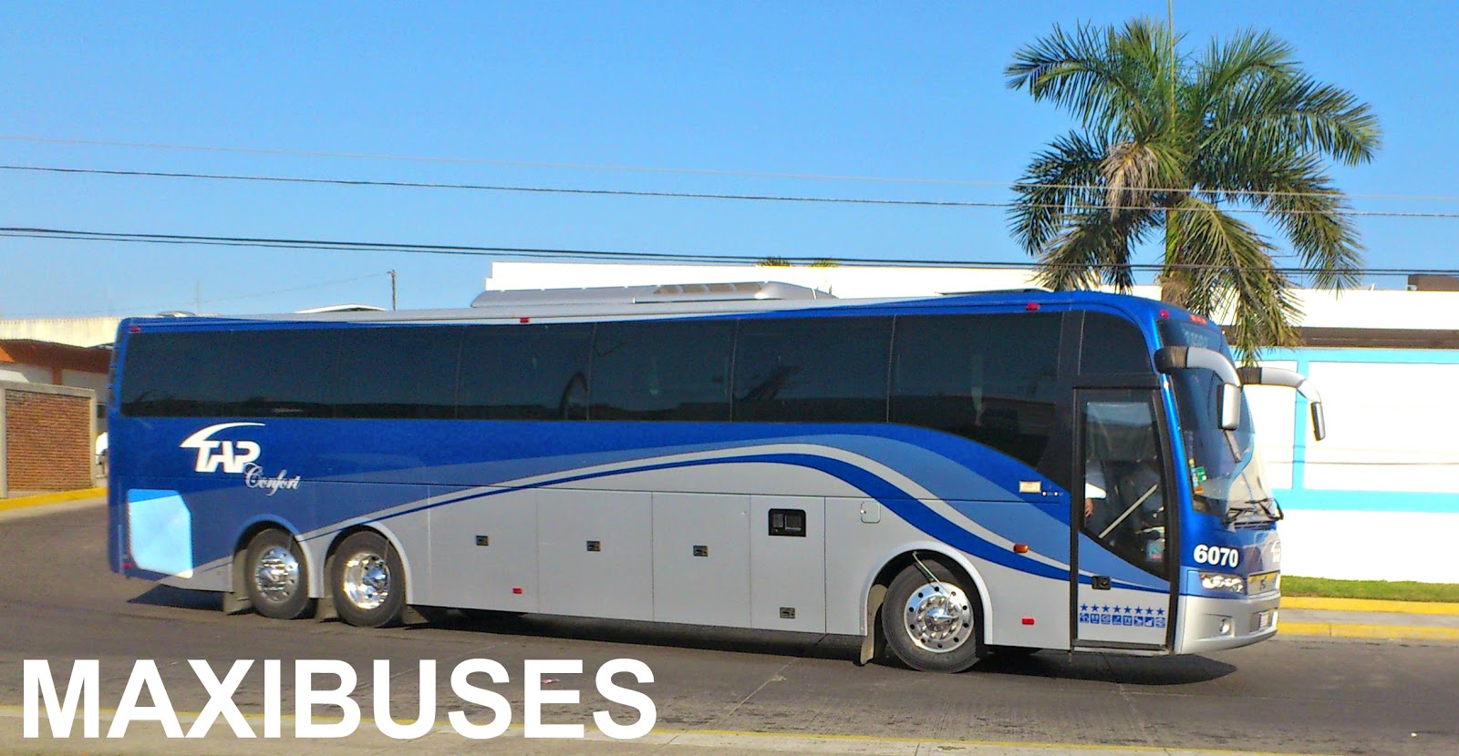 MAXIBUSES: TRANSPORTES Y AUTOBUSES DEL PACÍFICO, CONFORT (TAP CONFORT)