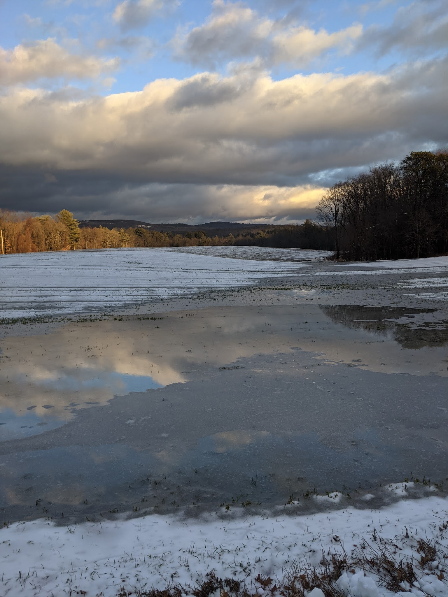 Vernon VT Nature Finds