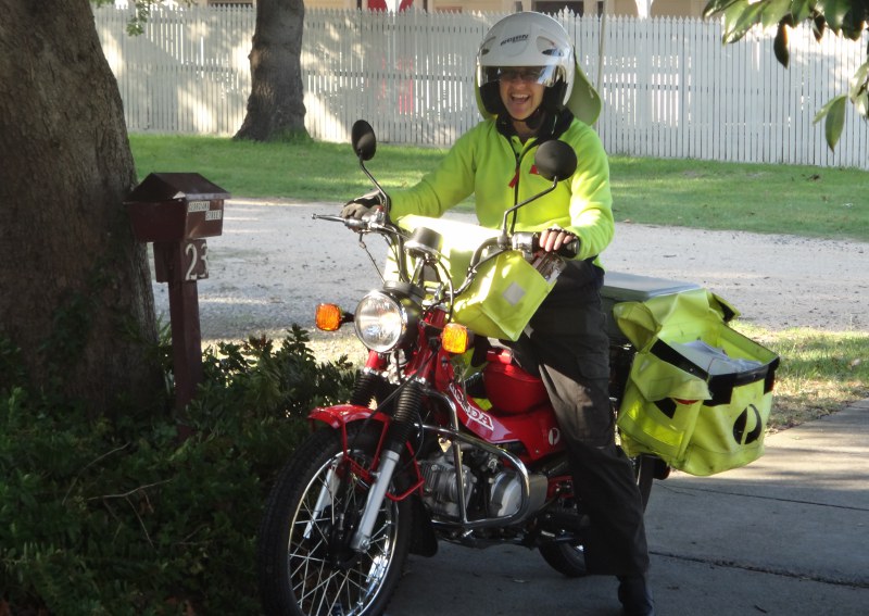 Downunder Assistance Dog: My new website, new vest complete, hormones ...