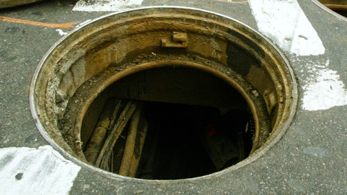 You May Be Dead And Dreaming: EVERYDAY STRANGE - Alligators in Sewers, NYC