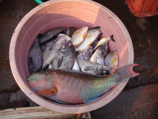 Mirkarwada Jetty:My Konkan Holiday Part 4