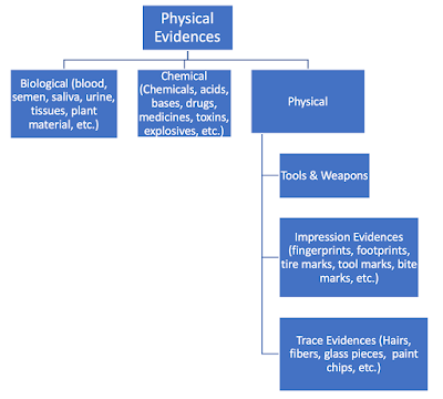 All About Forensic & Investigative Sciences: Physical Evidences in ...