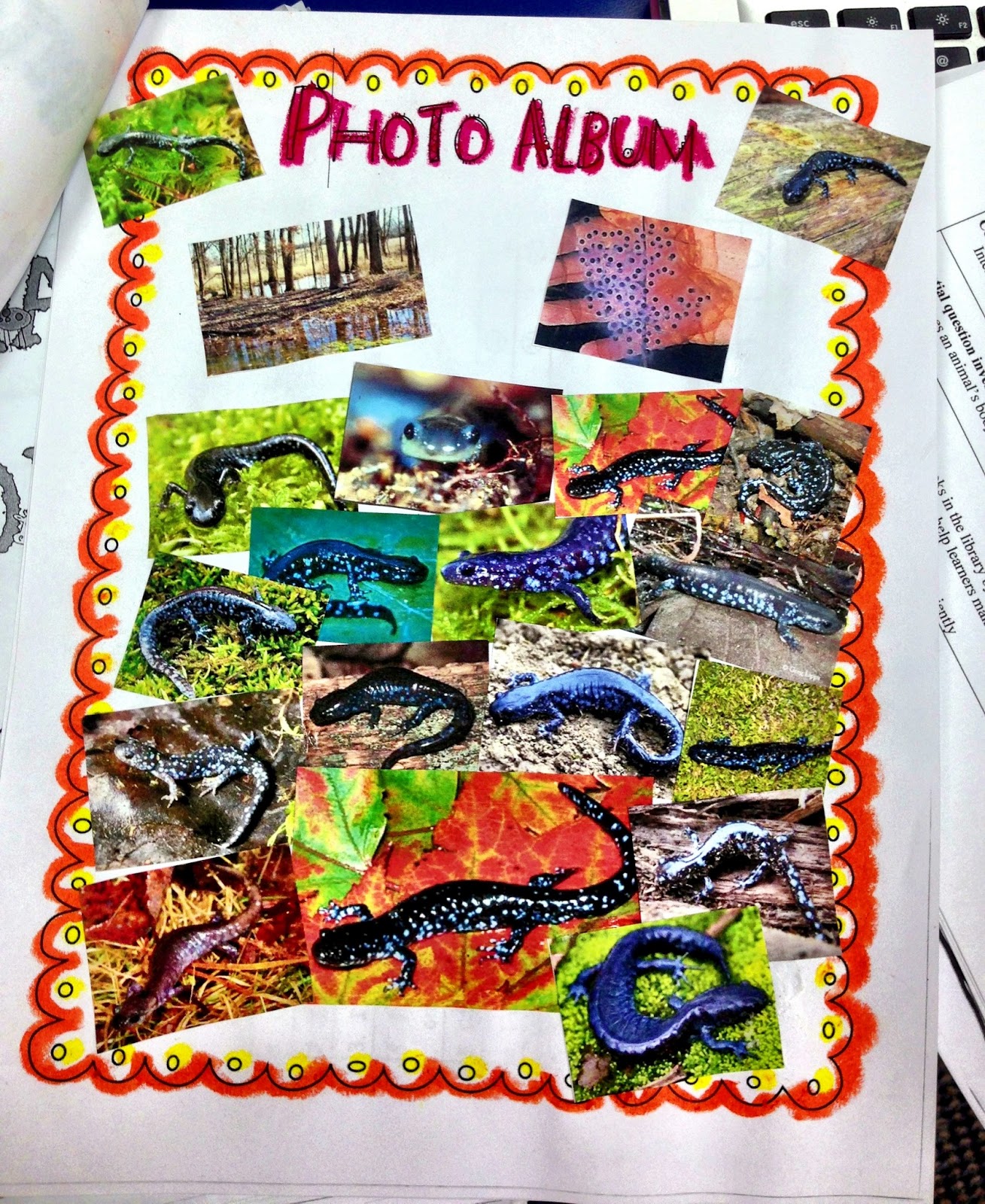 The Library Voice: Our Little Kindergarten Researchers Show "Wonder and ...