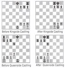 ZIGGYS COLLECTABLES-N-GIFTS: How To Play Chess Part 1