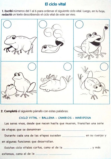 Quinto año EP 53 2021: CIENCIAS NATURALES EL CICLO DE LA VIDA