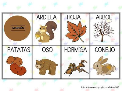 CONCEPTO COLOR CAFÉ - SEMANA DOCE