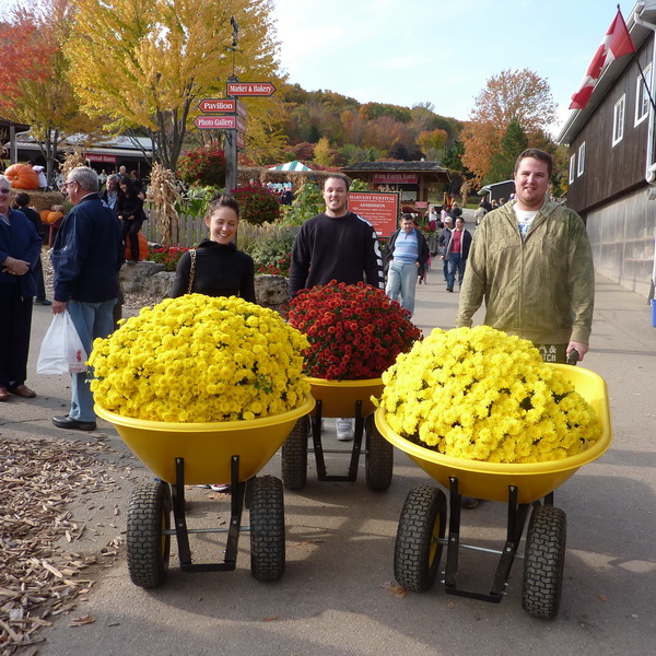 Fresh from the Farm @ Springridge