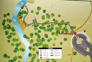 Focusing On Travel : The One & Only ,,, Ocqueoc Falls