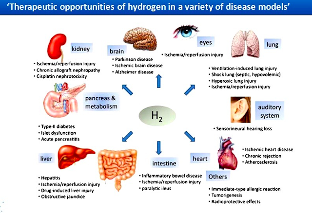 India. Molecular hydrogen therapy (HHO / H2) by inhalation for clinical ...