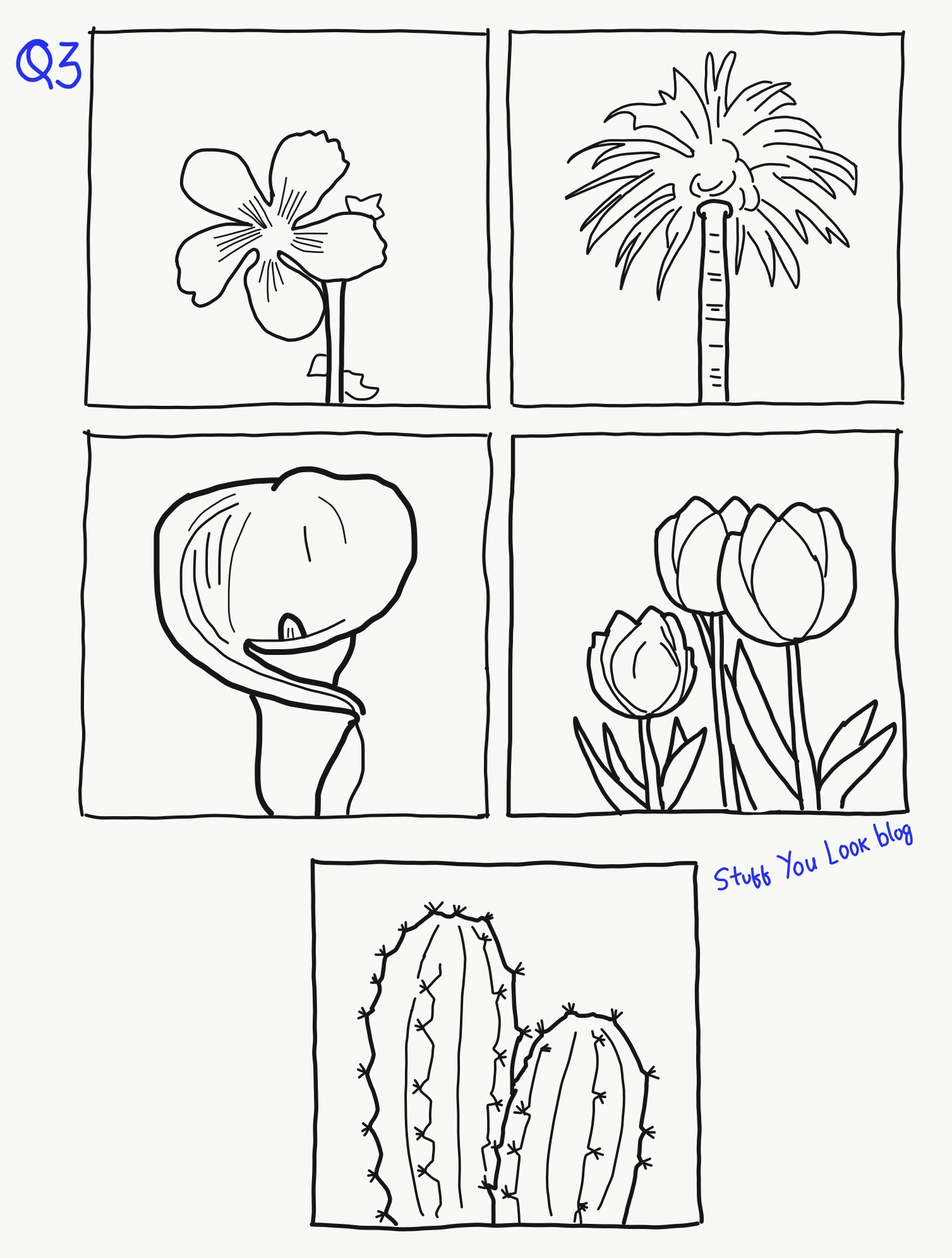 CEED 2020 Part B sketching solutions | Stuff You Look