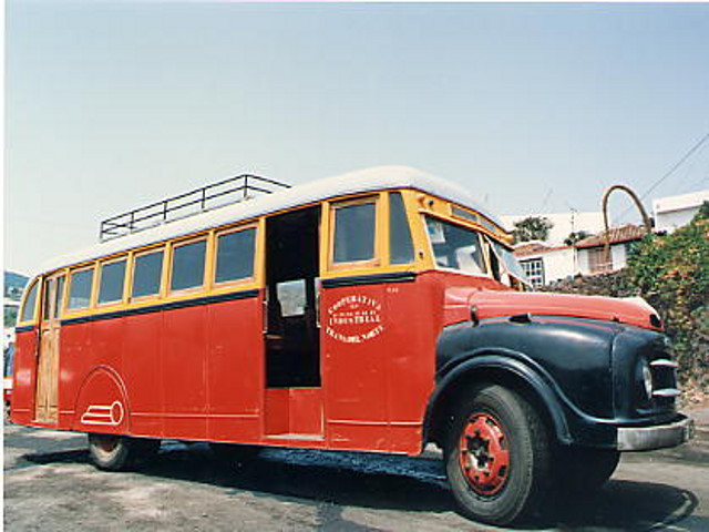 Blog de una jubilada: Justicia para las guaguas