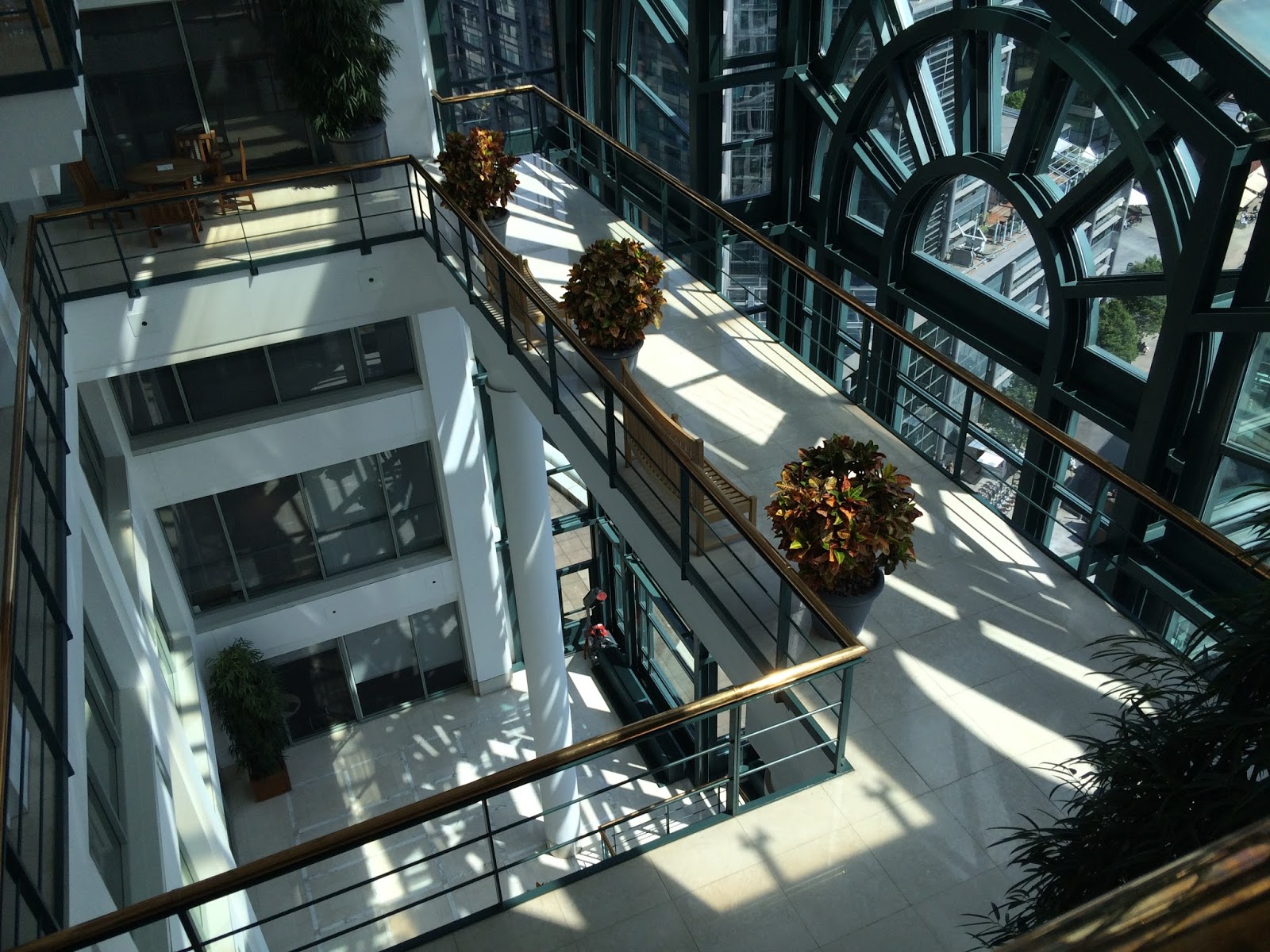 Miss B Takes A Walk: City in Bloom 2015 - Barings Roof Top Gardens