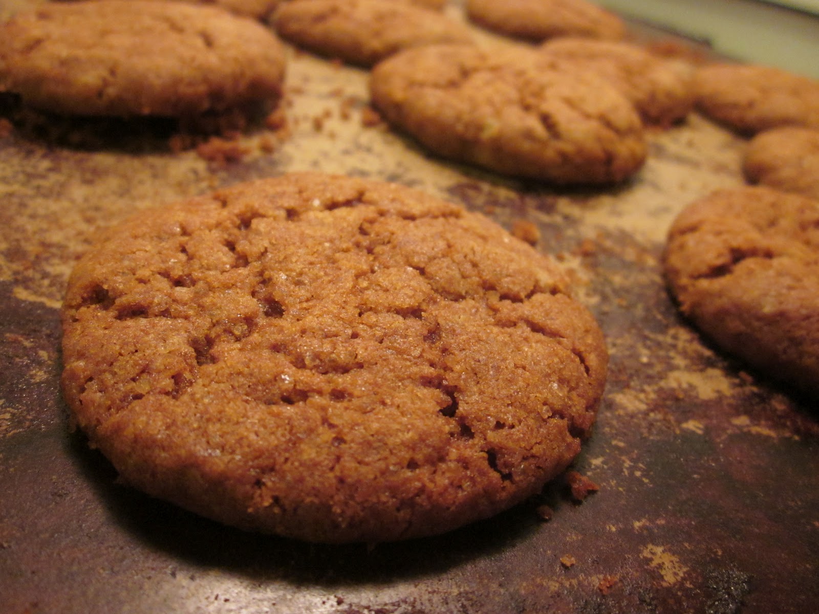 Spiced Honey-Ginger Cookies