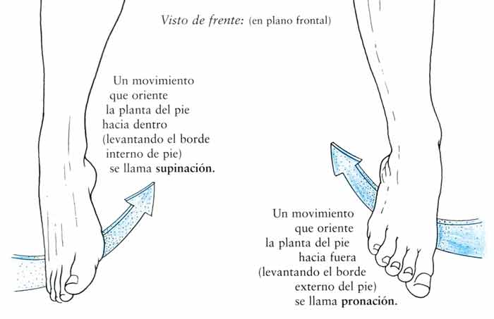 movimiento rotacion pie