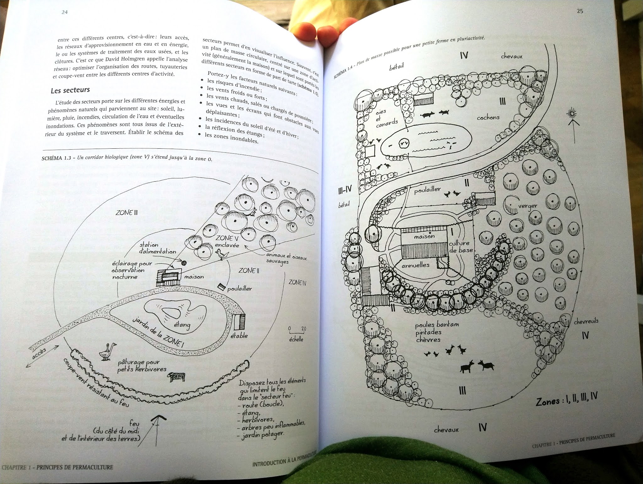 Les pages de Nomic: Introduction à la permaculture - Bill Mollison