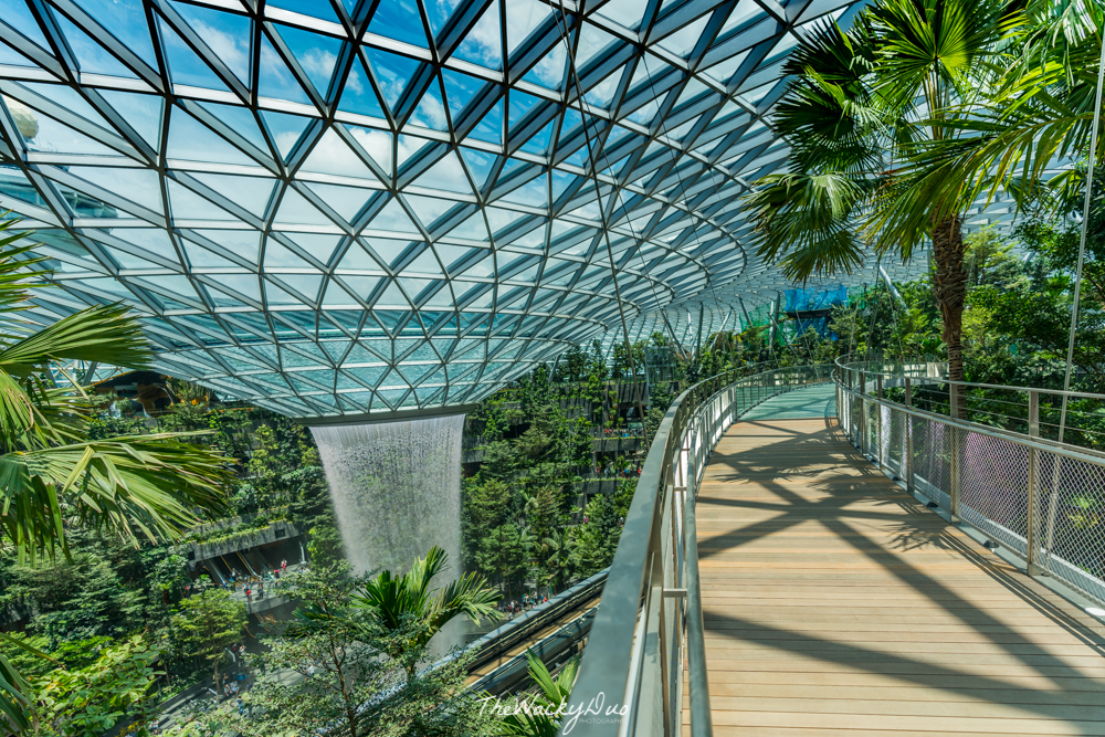 Jewel Canopy Park opens on 10 June and it is Crazy Expensive!+ How to ...