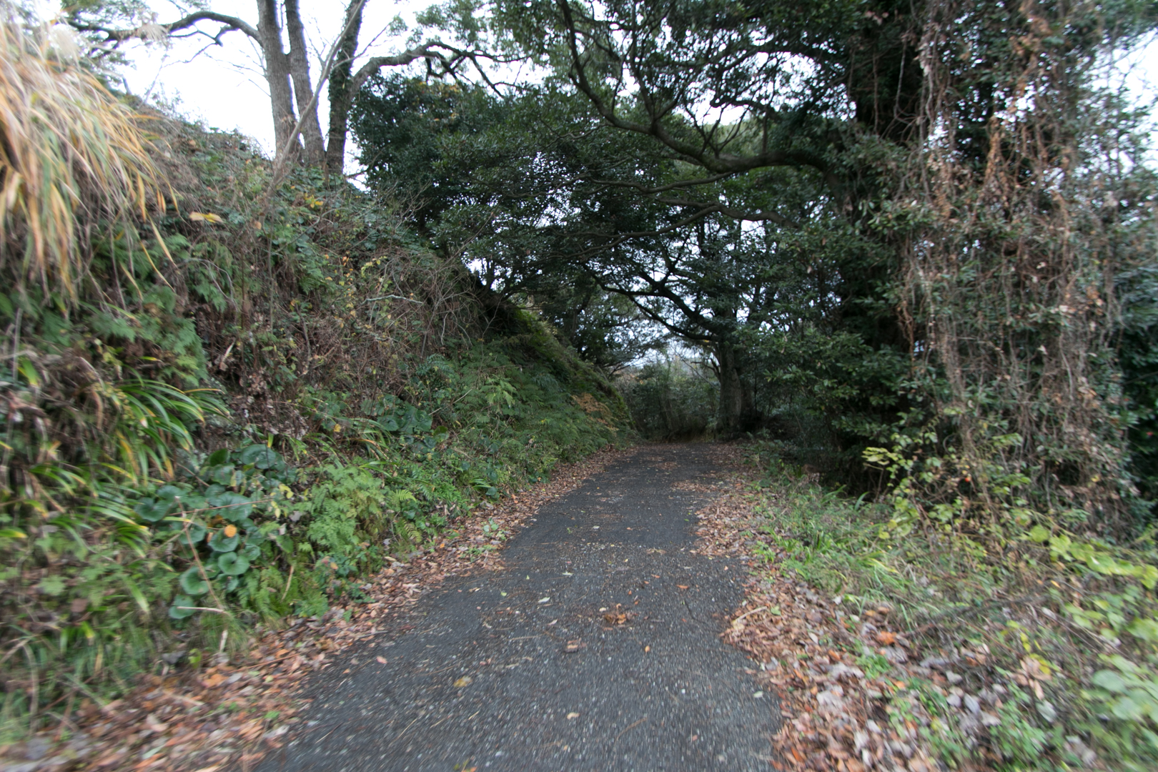 Hamada Castle -Gone with the Edo shogunate- | Ken's Storage: Pictures ...