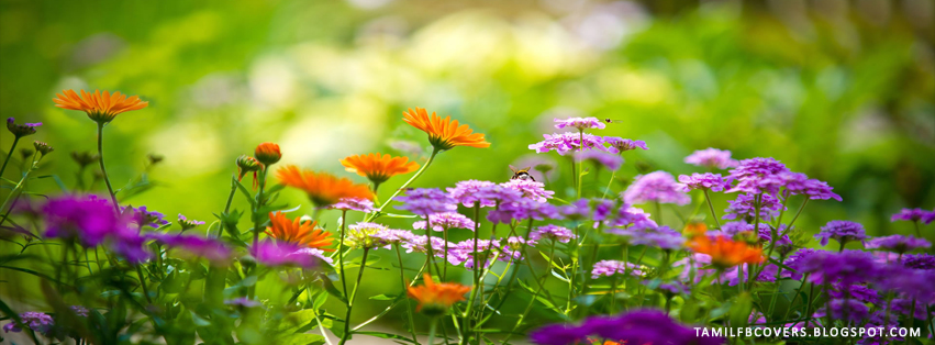 My India FB Covers: Flower garden - Flower FB Cover